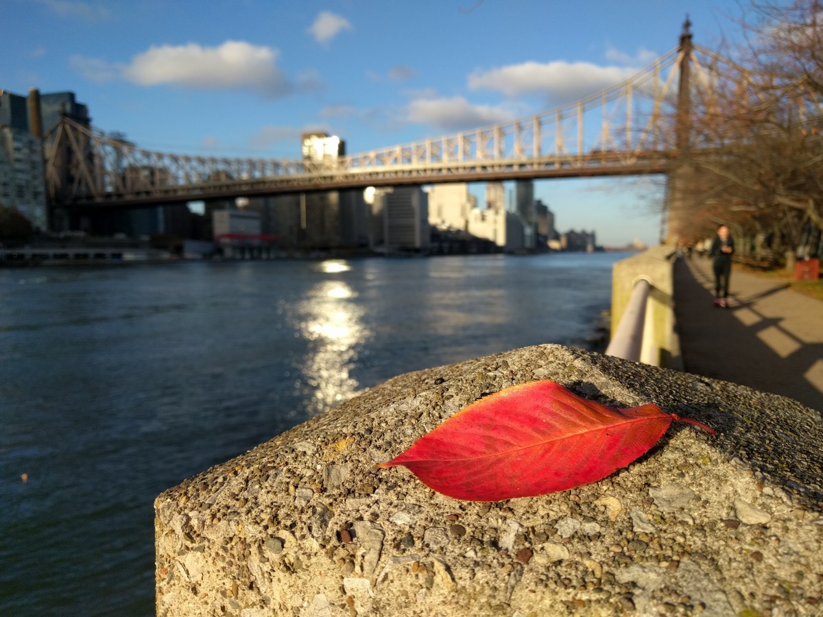 Autumn colours | Manhattan (and not only) - Faces & Places