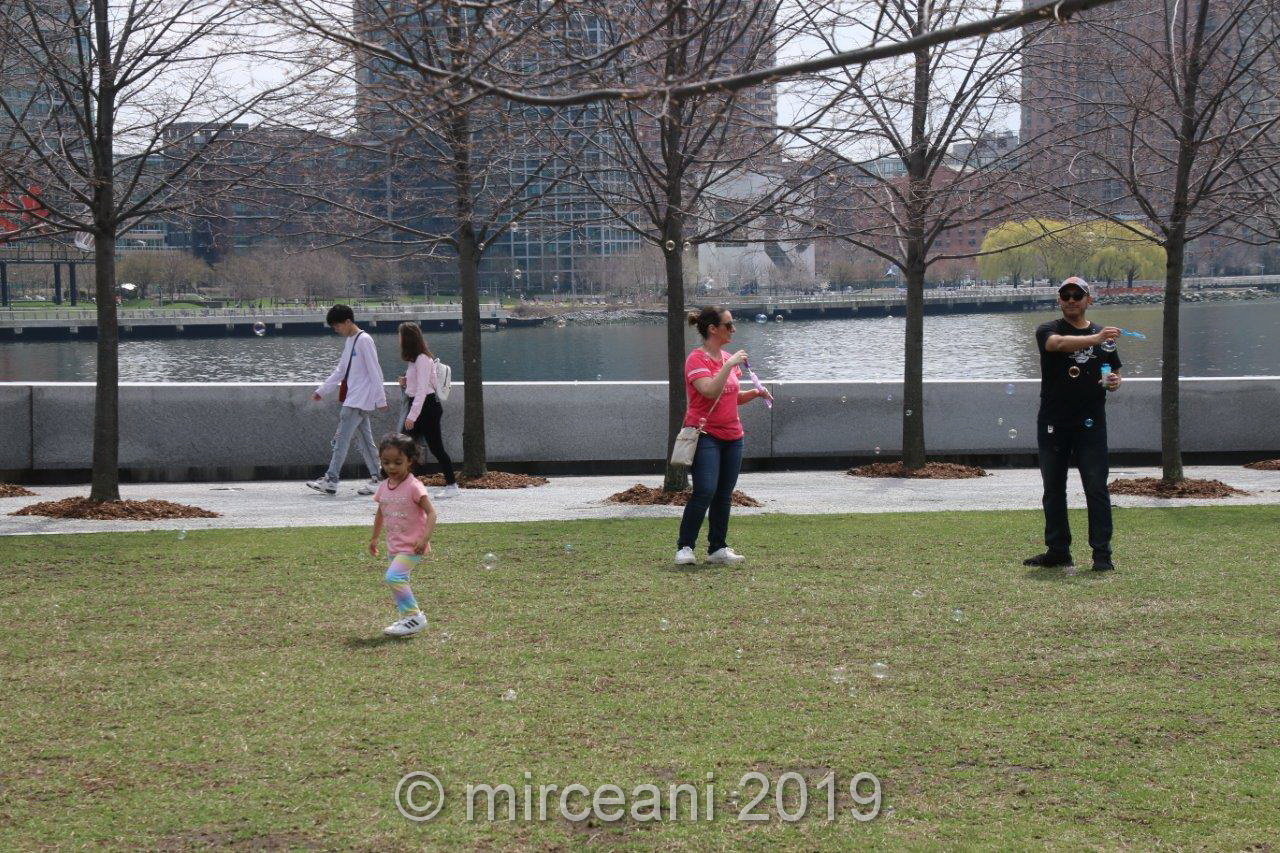 Roosevelt Island Cherry Blossom | Manhattan (and not only) - Faces & Places